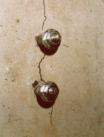 Tension Failure Of Anchors And Top Tips To Prevent It - Ask HI